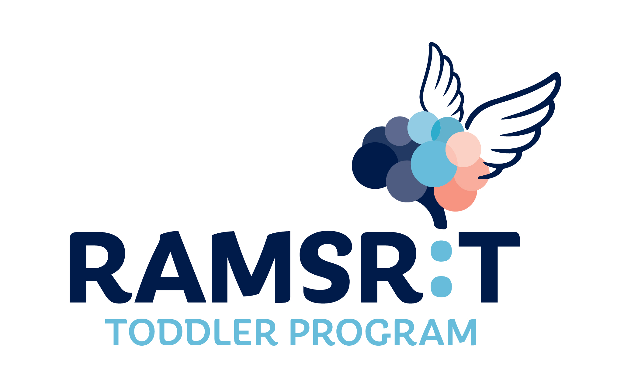 Rhythm and Movement for Self Regulation: Toddler (RAMSR-T) Online ...